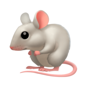 🐁 Mouse - Emojis para Copiar