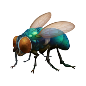 🪰 Emoji Fly - Emojis para Copiar